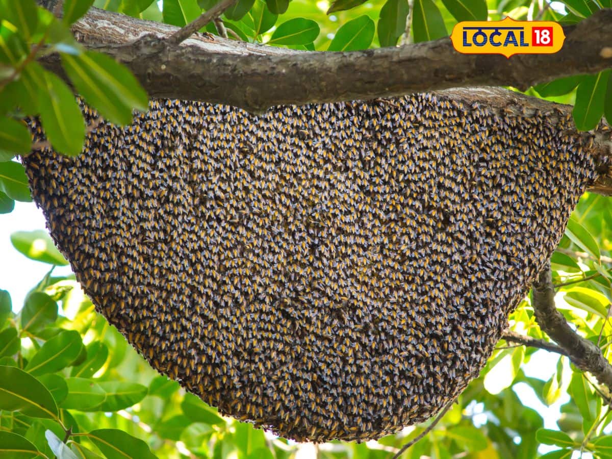 અમીરની સંપત્તિ ઘટશે, ગરીબ થશે ધનવાન - Vastu Tips good or bad to build a ...