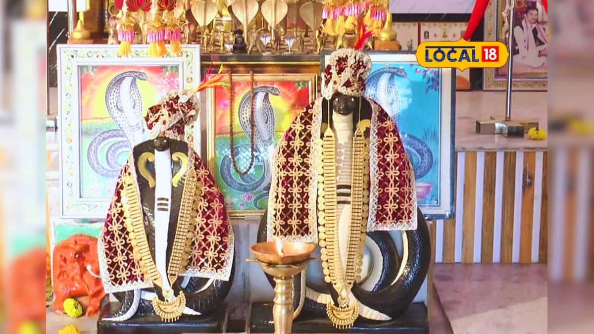 અહીં હાજરાહજૂર છે ગોગા મહારાજ, ભક્તોને આપ્યા છે અનેક પરચા, આવી છે લોક ...
