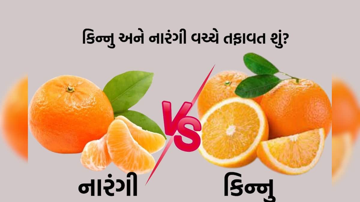 નારંગી અને કિન્નુ વચ્ચે શું તફાવત છે? 99% લોકો નથી જાણતા આનો જવાબ - What is the difference ...