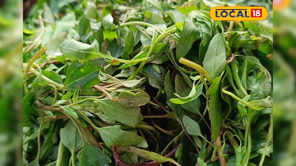 The Magical Weed Growing in Wheat Fields Bathua Saag Benefits as a Miracle Remedy for Women Health