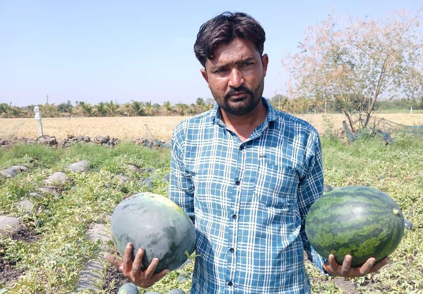 તરબૂચે ખેડૂતને કરી દીધા માલામાલ - Talala farmer Watermelon Farming ...