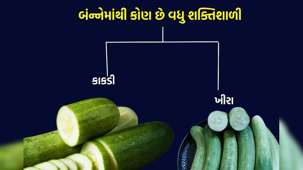 Khira Vs Kakdi: ખીરા કે કાકડી? બંન્નેમાંથી કોણ છે વધુ શક્તિશાળી, 99% ...