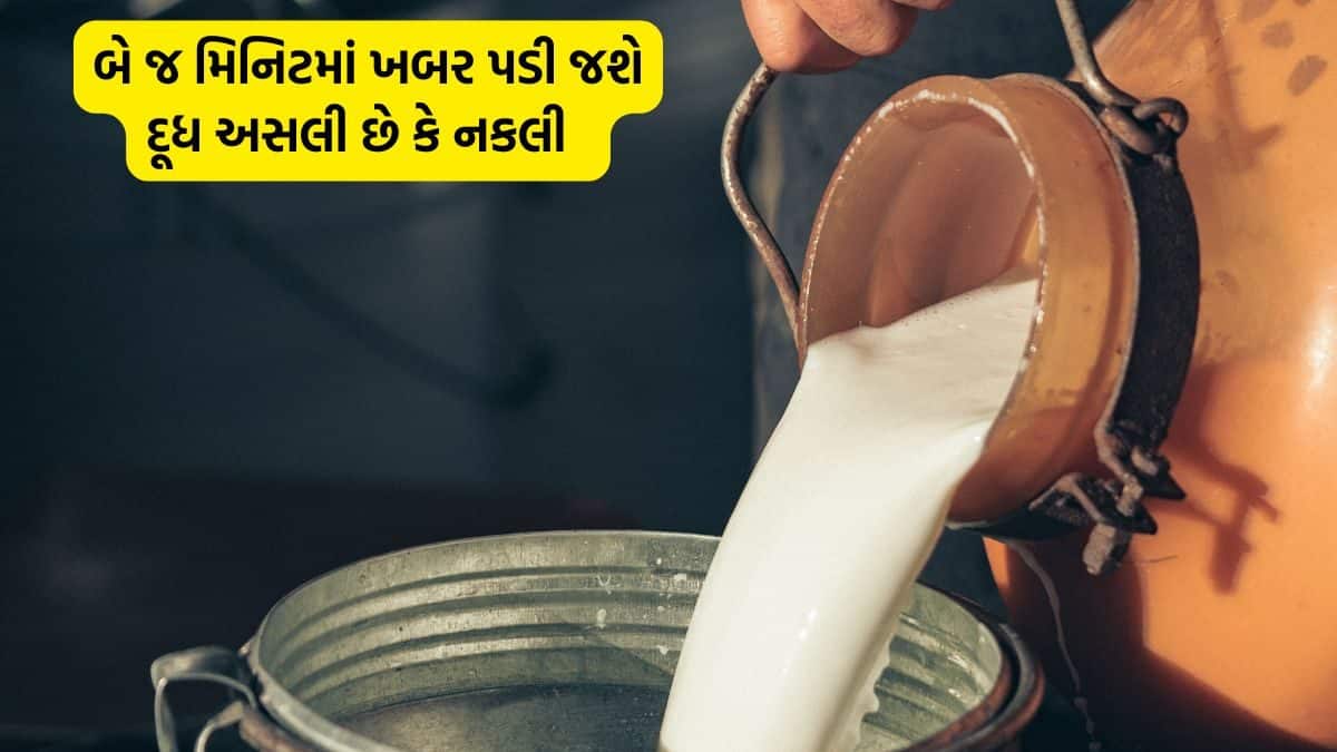 how to check milk is pure or not at home in 2 minutes- તમે મિલાવટવાળું ...