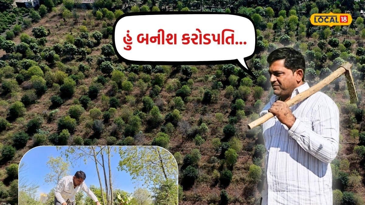 12 વીઘા જમીનમાં આ ખેડૂતે વાવ્યા ચંદનના ઝાડ, 5 વર્ષ બાદ થશે કરોડોની ...