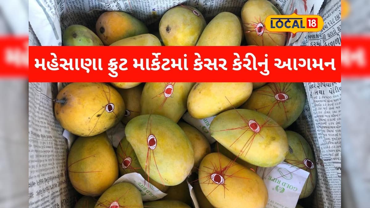 મહેસાણાની બજારમાં તાલાલાની પ્રખ્યાત કેસર કેરીનું આગમન - Talala famous ...