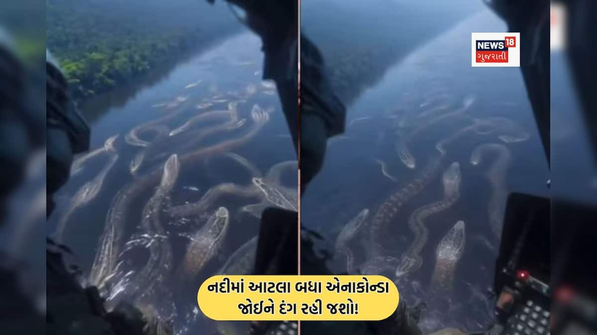 એમેઝોનની નદીમાં દેખાયા વિશાળ એનાકોન્ડા, હેલિકોપ્ટરમાંથી કેપ્ચર કરાયો ...