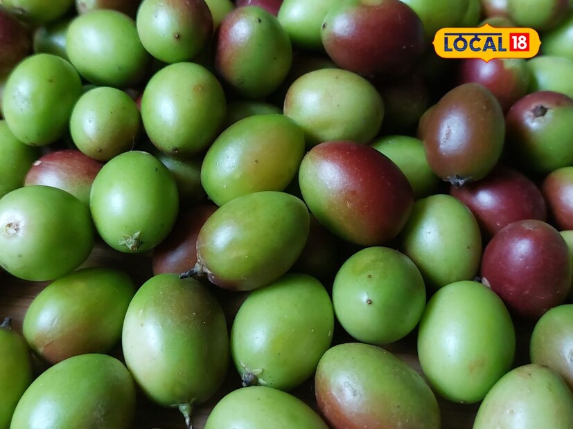 કરમદા ખાવાના ફાયદાઓ જાણો - Know the benefits of eating Karmada