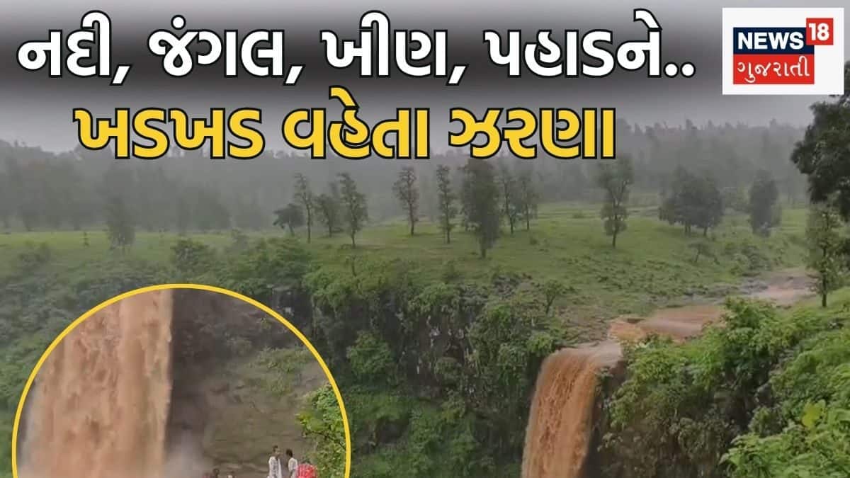 વરસાદી માહોલમાં સ્વર્ગ બન્યો ગુજરાતનો આ વિસ્તાર! નજારો એવો, કે સાપુતારા ...
