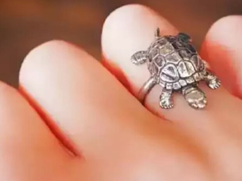 Turtle Ring Benefits: રાશિ પ્રમાણે કાચબાની વીંટી પહેરો! કઈ આંગળી અને કયા દિવસે પહેરવી? જાણો તેના ...