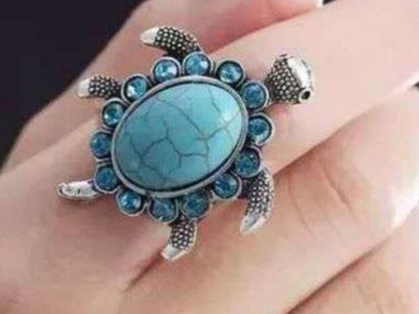 Turtle Ring Benefits: રાશિ પ્રમાણે કાચબાની વીંટી પહેરો! કઈ આંગળી અને કયા દિવસે પહેરવી? જાણો તેના ...
