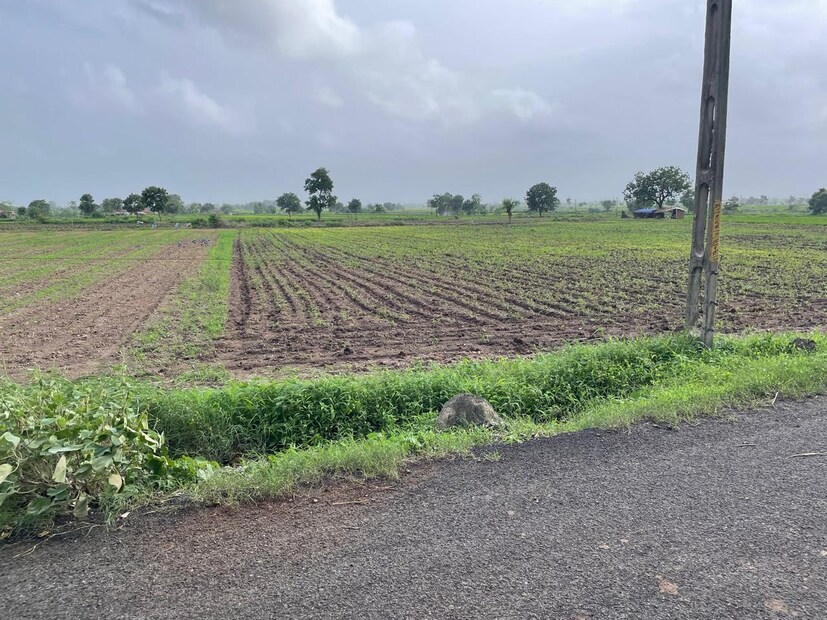 જમીન અને પ્લોટ ખરીદતી વખતે ધ્યાનમાં રાખવાના મુદ્દા - Points to keep in ...