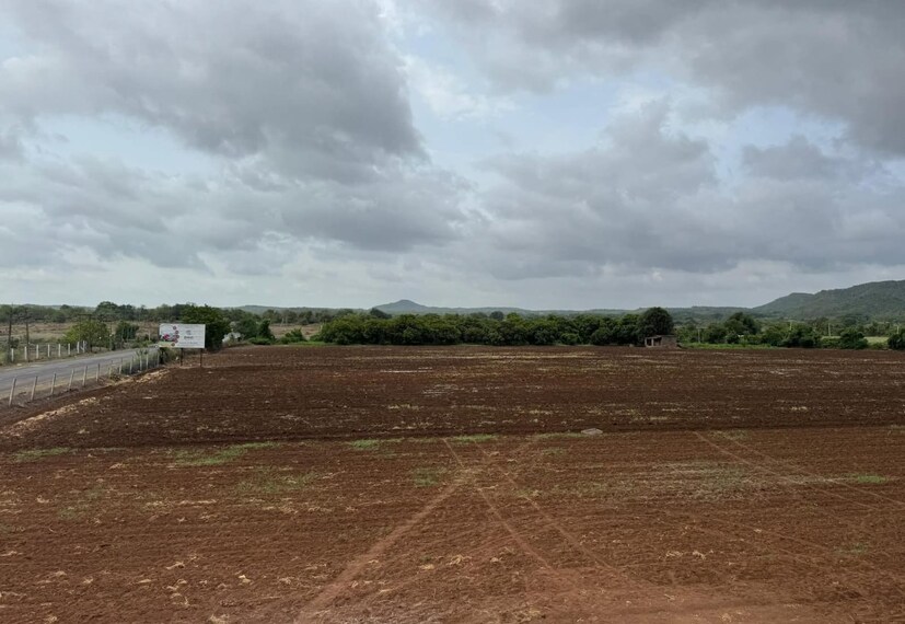 જમીન અને પ્લોટ ખરીદતી વખતે ધ્યાનમાં રાખવાના મુદ્દા - Points to keep in ...