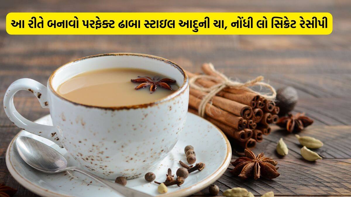 Adarak Chai Recipe : આ રીતે બનાવો પરફેક્ટ ઢાબા સ્ટાઇલ પરફેક્ટ આદુની ચા ...