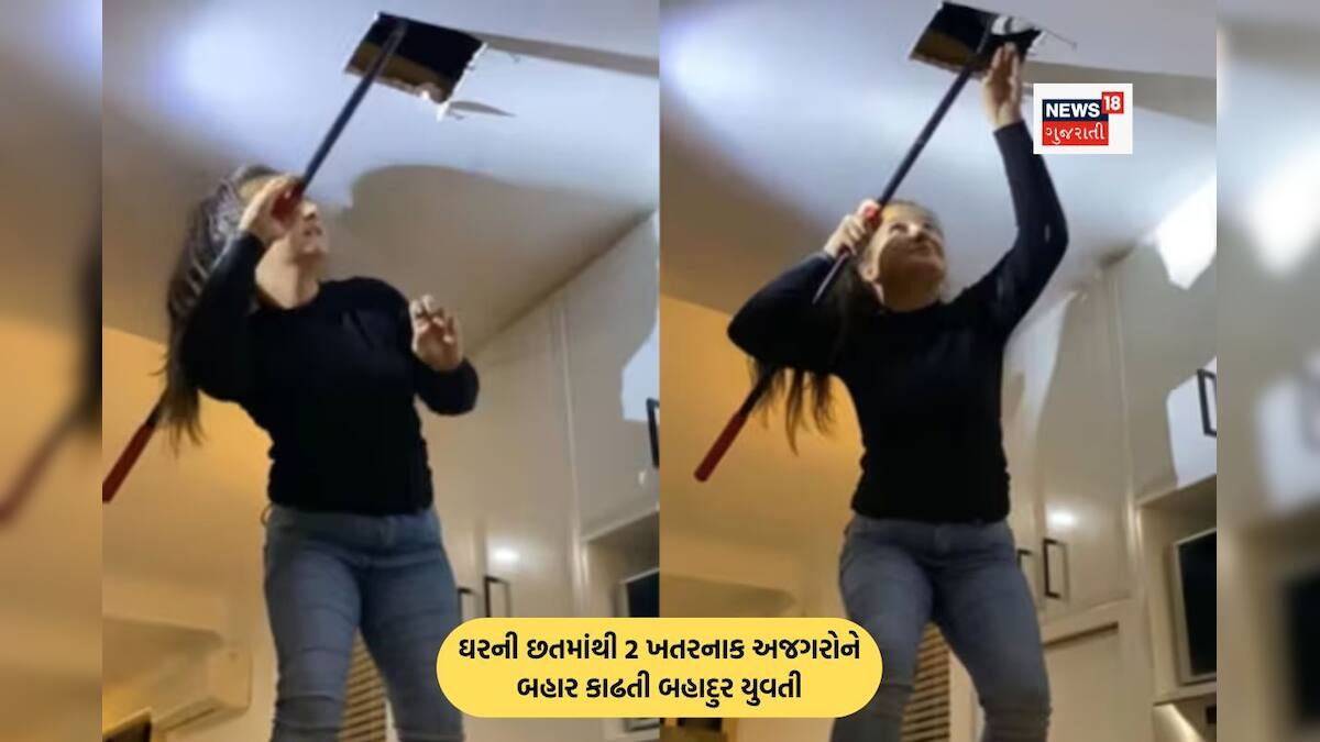યુવતીએ છતના છિદ્રમાં ઘૂસાડ્યો સળિયો, એવી ખૌફનાક વસ્તુ નીકાળી કે જોઈને ...