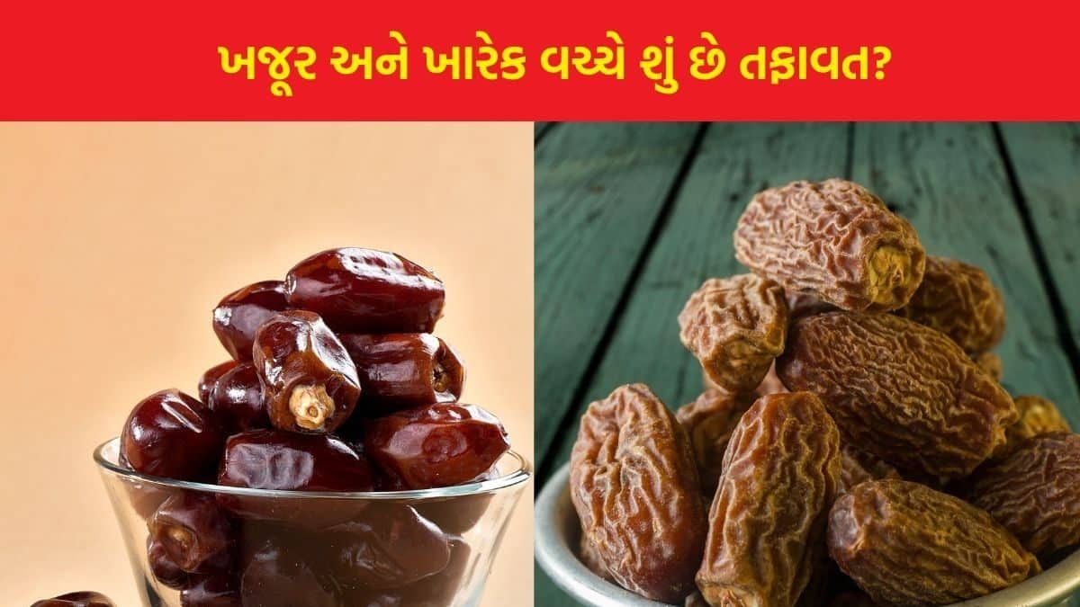 ખજૂર અને ખારેક વચ્ચે શું છે તફાવત? જાણો હેલ્થ માટે બંનેમાંથી શું છે ...