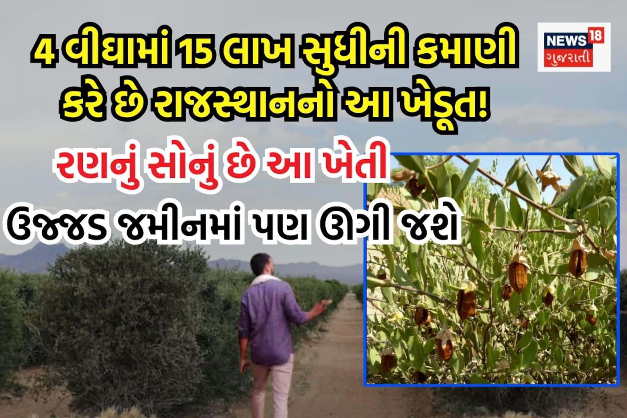 અમરેલીનું સુપ્રસિધ્ધ શિવ મંદિર - The famous Shiva temple of Amreli | અમરેલી - News18 ગુજરાતી