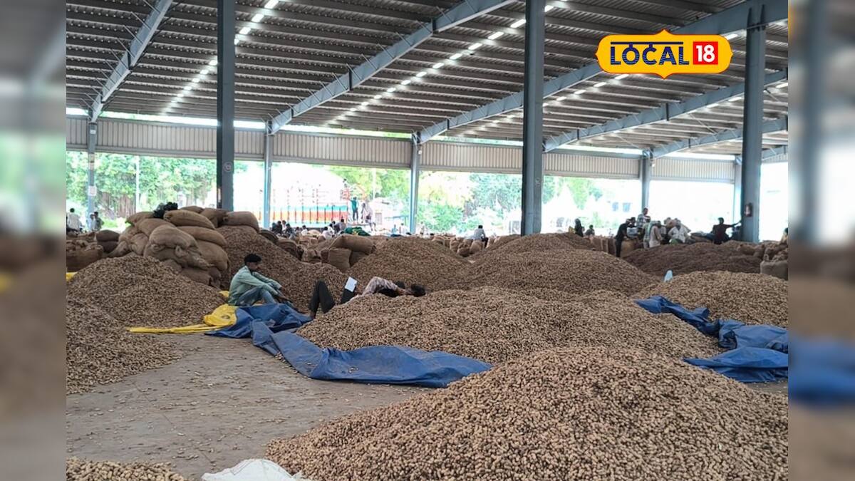 Mahuva yard requests more Magfali purchase centers letter to Krishi ...