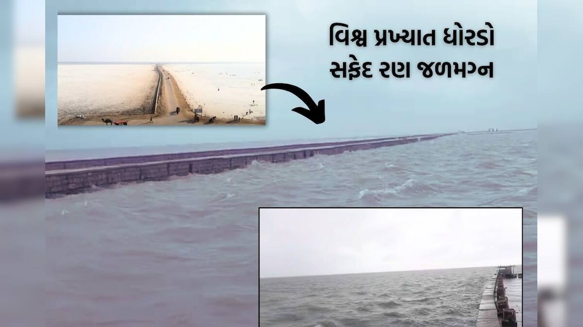 કચ્છ: વિશ્વ પ્રખ્યાત ધોરડો સફેદ રણ અને વોચ ટાવર વિસ્તાર જળમગ્ન - Kutch ...