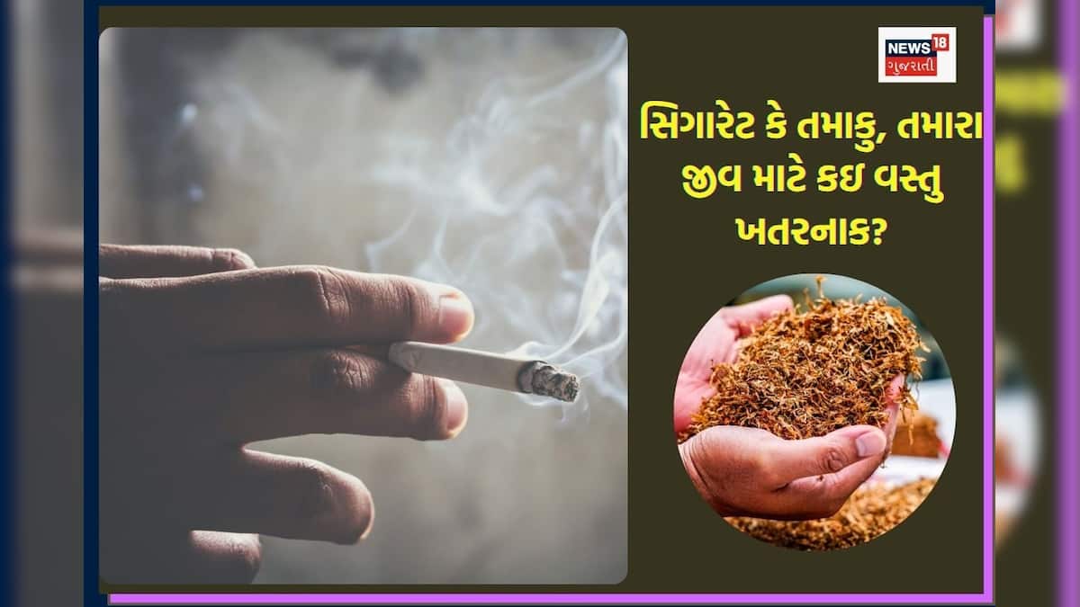 Chewing tobacco is more dangerous than smoking cigarettes - સિગારેટ કે ...