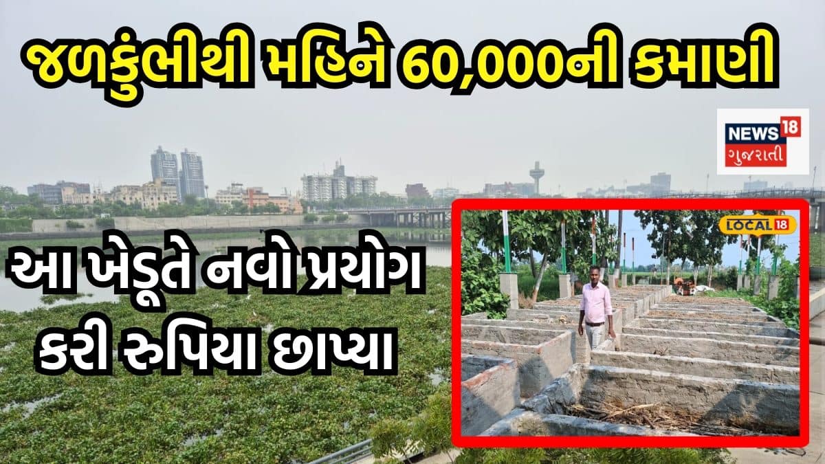 જળકુંભી ખેડૂત માટે બની કાચું સોનું! આ નવા પ્રયોગથી દર મહિને 60,000 ...