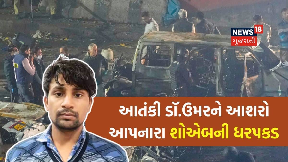દિલ્હી બોમ્બ બ્લાસ્ટ કેસમાં NIAને મોટી સફળતા, આતંકી ઉમરને આશરો આપનારની ...