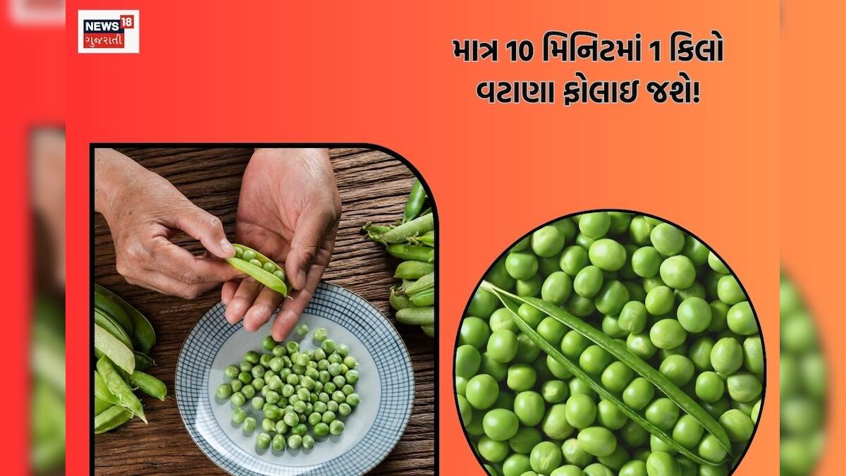 Follow these tips and peel peas in 10 minutes - 10 મિનિટમાં ફોલાઇ જશે 1 ...