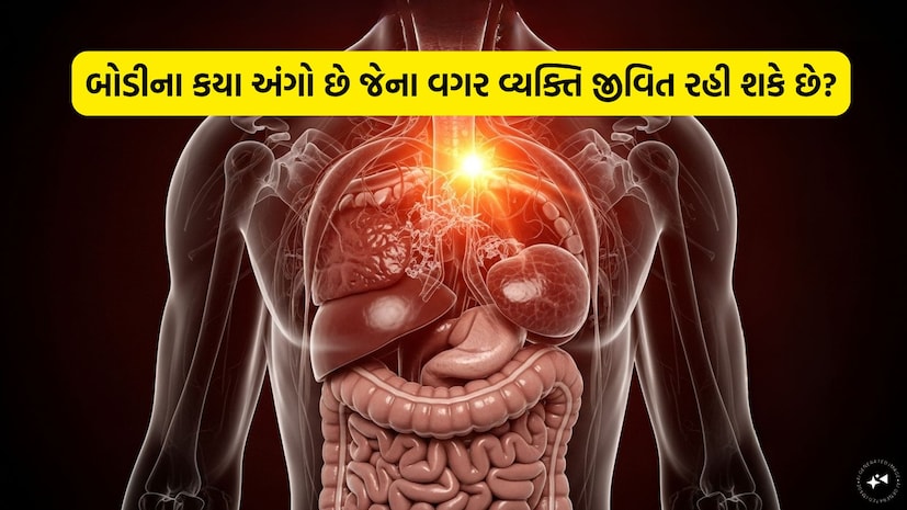 શરીરના આ અંગો વગર પણ જીવી શકે છે મનુષ્ય, જાણી ચોકી જશો - Humans can ...