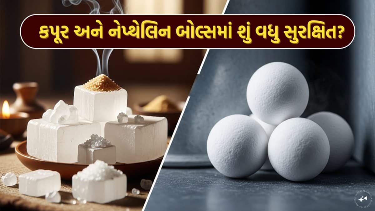 કપૂર અને નેપ્થેલિન બોલ્સમાં વધુ સુરક્ષિત શું? જાણો તેના ફાયદા અને ...