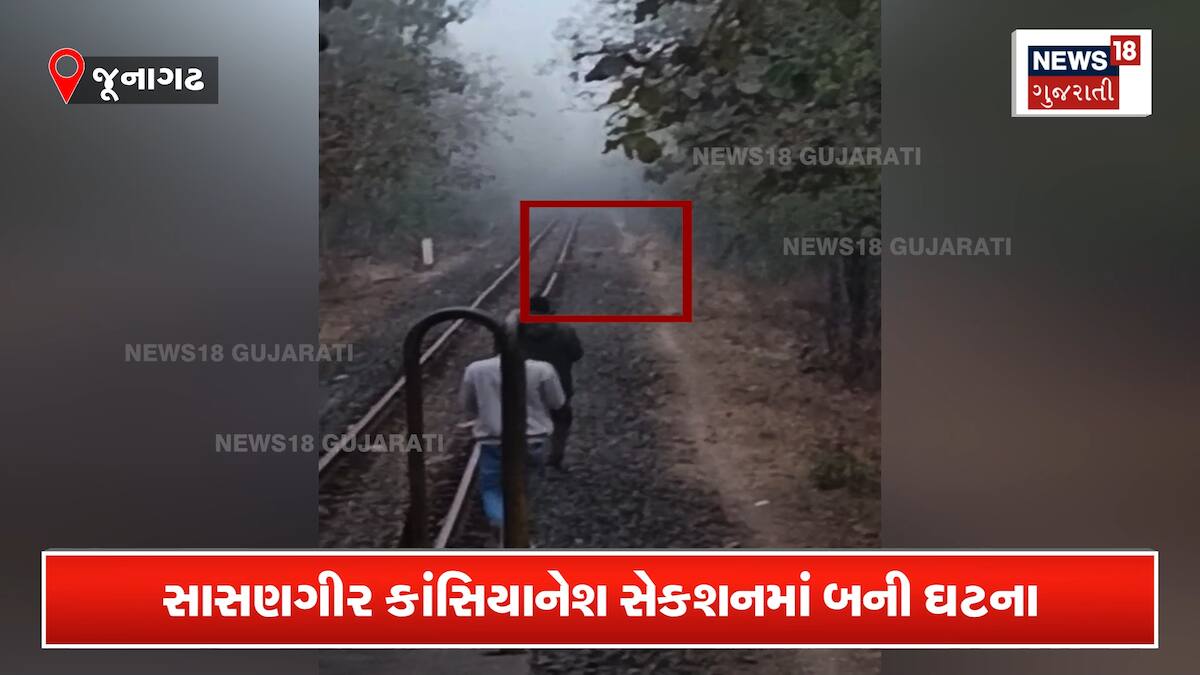 ટ્રેક પર 10 સિંહ જોવા મળતા લોકો પાયલટે ટ્રેન થંભાવી દીધી | - News18 ...