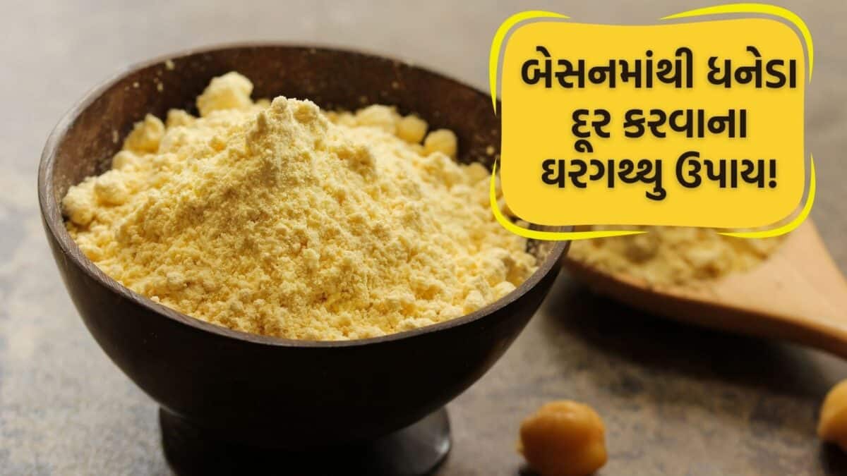 બેસનમાં પડી જાય છે જીવાત? અપનાવો આ સરળ કિચન ટ્રિક - Kitchen Hacks Home ...