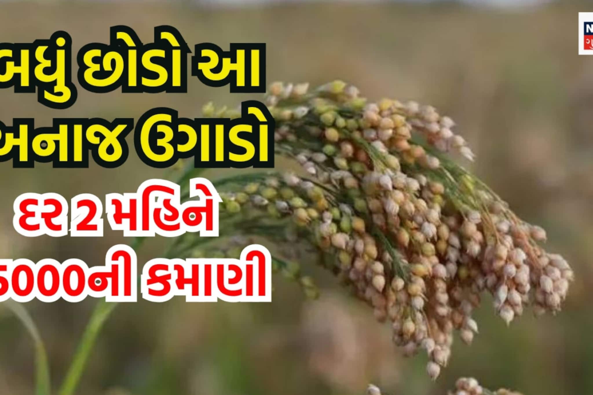 સુરત ગુજરાતનું પ્રથમ સ્લમ ફ્રી સિટી બનશે, કેબિનેટમાં નિર્ણય- Surat will ...