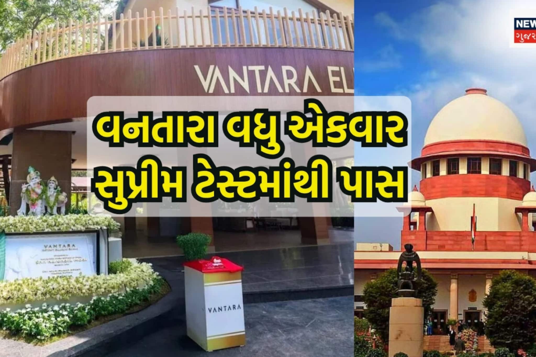દુનિયાના સૌથી અનોખા લગ્ન: યુવકે કોઈ મહિલા નહીં, કૂકર સાથે કરી લીધા લગ્ન ...