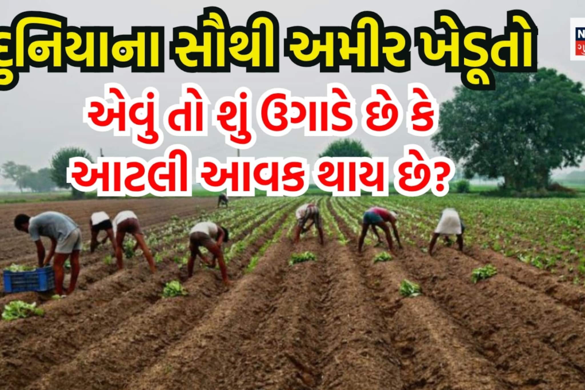 ડોક્ટર ઓન કોલઃ આ નંબરો મોબાઈલમાં સેવ કરી લો, દિવાળીની ઈમરજન્સીમાં કામ ...
