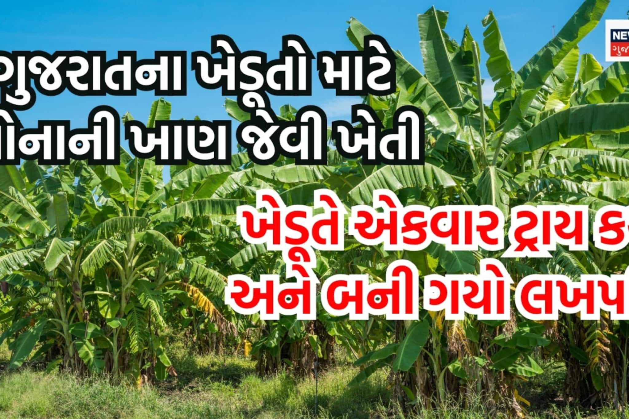 વધુ એક ગુજરાતી સિંગરના ઘરનો ડખ્ખો બહાર આવ્યો! પૂર્વ પતિ રાજભાના આરોપ પર ...