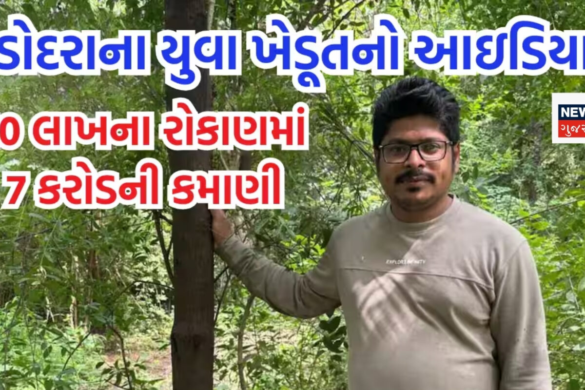 ડ્રેગન ફ્રુટ સાથે ભીંડાની ખેતીમાં સફળતા - Success in okra cultivation ...