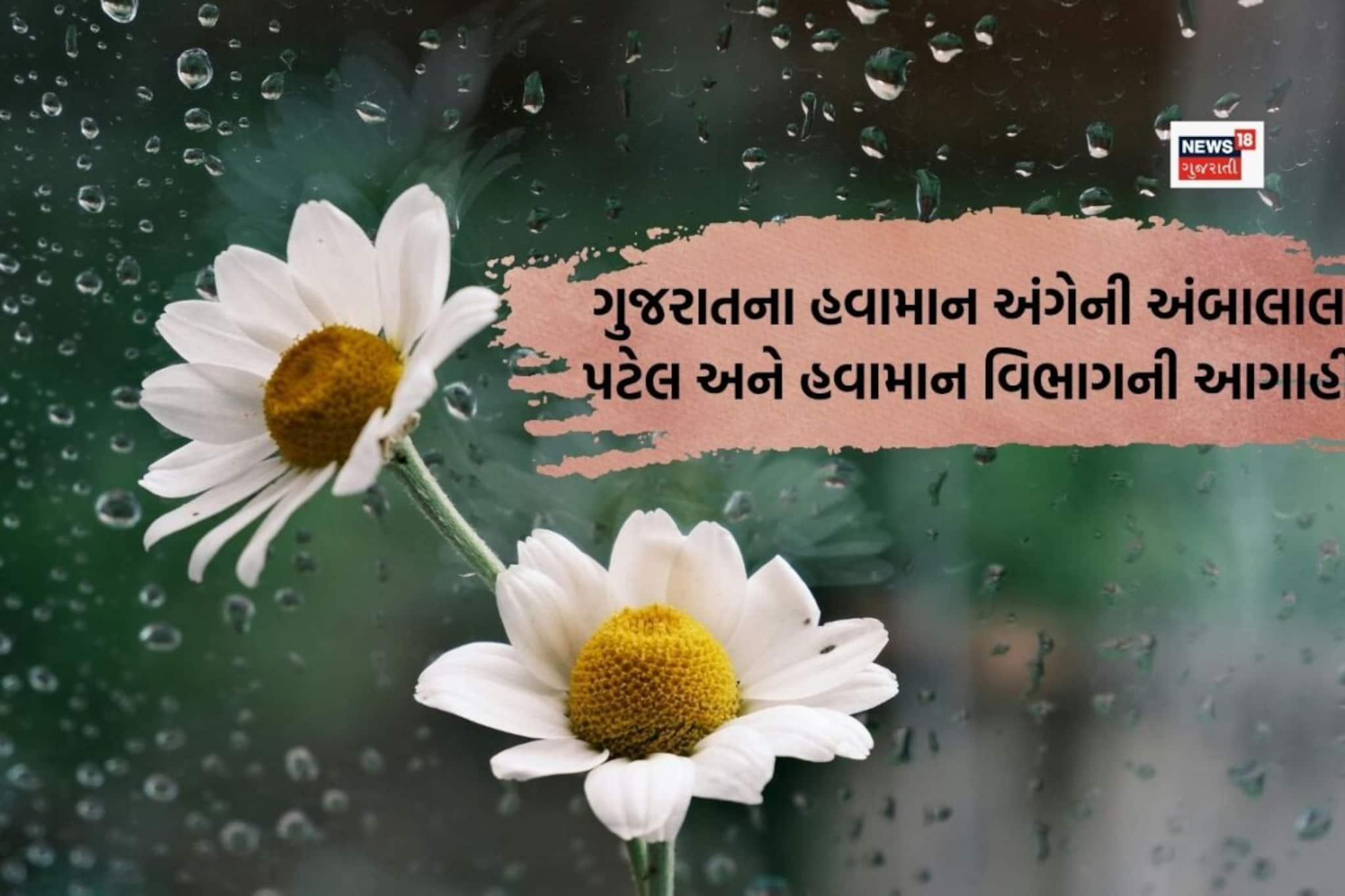 રોજ સવારે ખાલી પેટે આ પીવો આ ચા, શરીરની ચરબી બરફની જેમ ઓગળશે!-How to ...