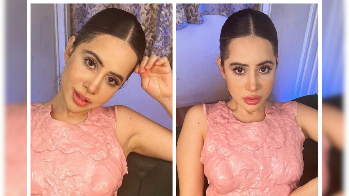 عرفی جاوید نے اب ایسی چیز سے بنا ٹاپ پہن کر دیا پوز، تصاویر دیکھ کر ...