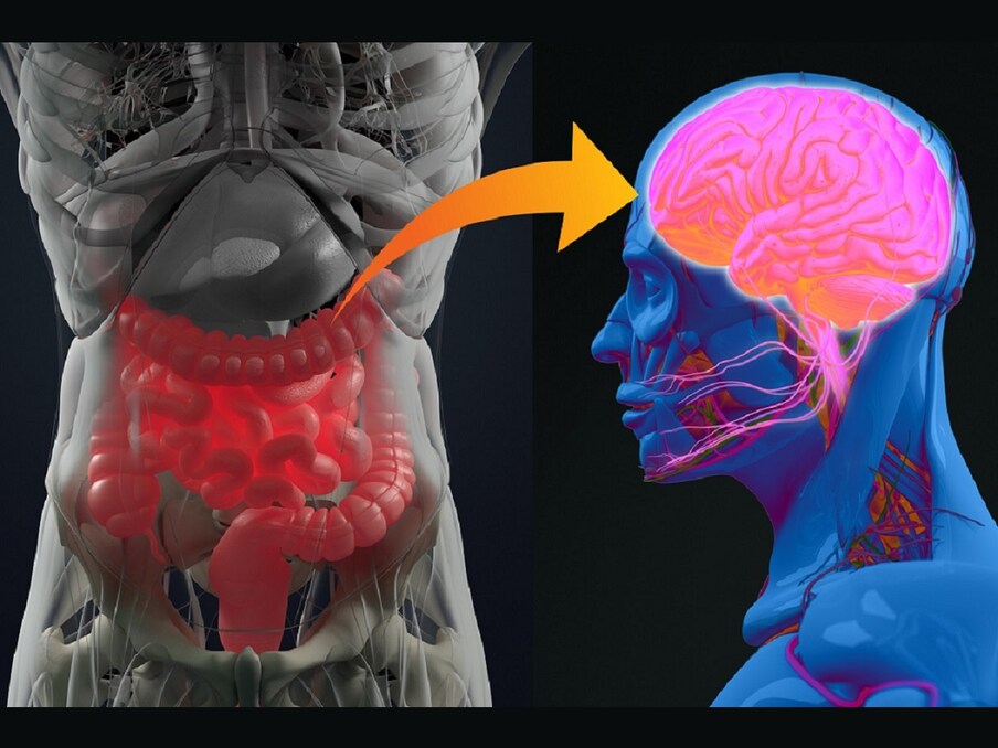 Obesity can cause permanent brain damage know how snm - مستقل طور پر ...