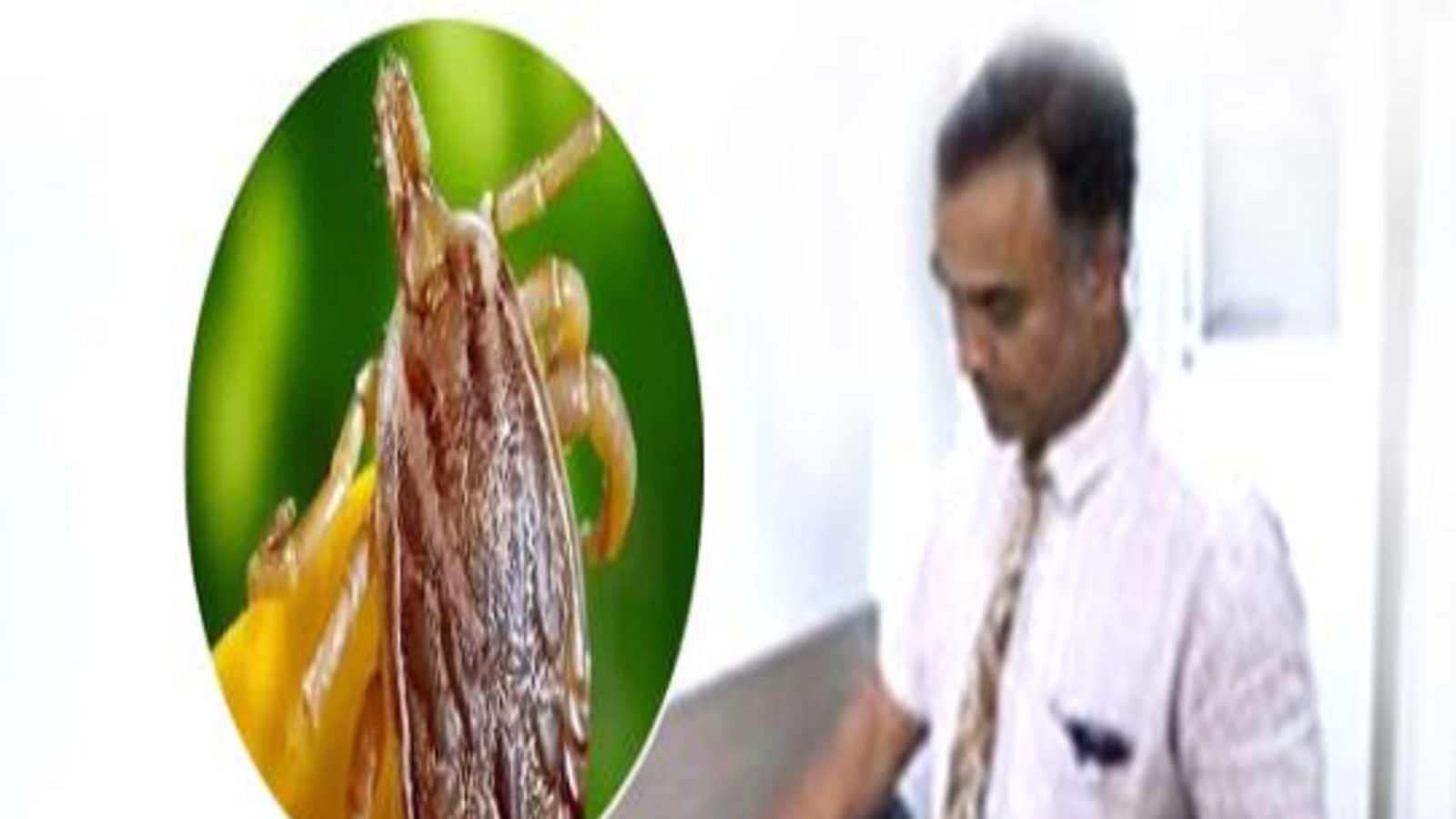 Lifestyle health mysterious fever has increased in delhi ncr ghaziabad ...