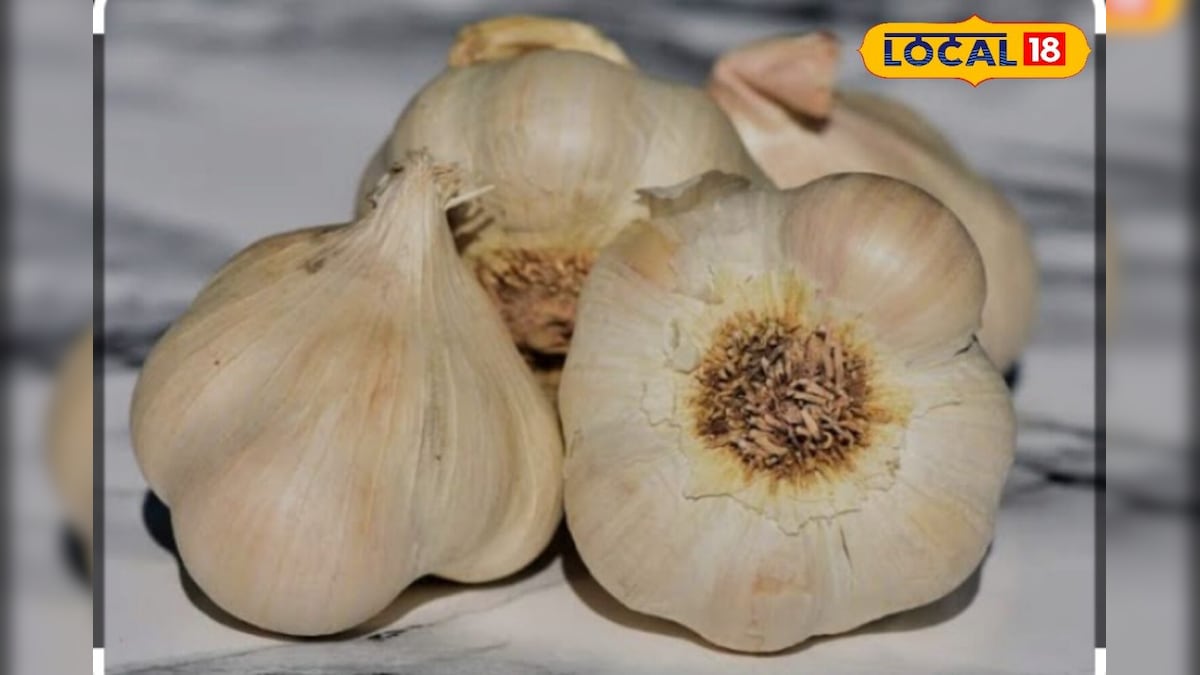There are many benefits of eating garlic on an empty stomach it ...