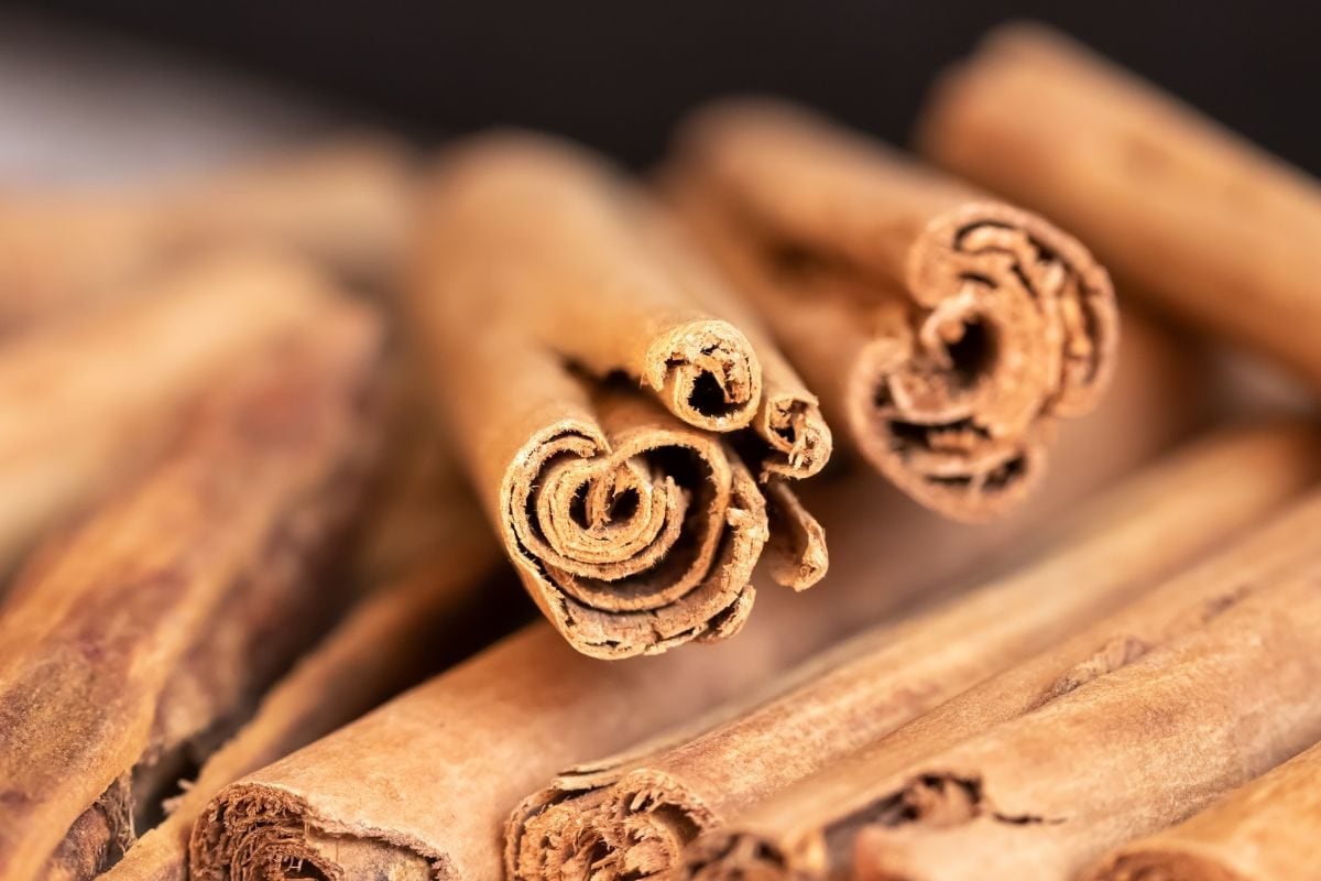 Identify real and fake cinnamon follow 5 amazing tips while buying asli ...