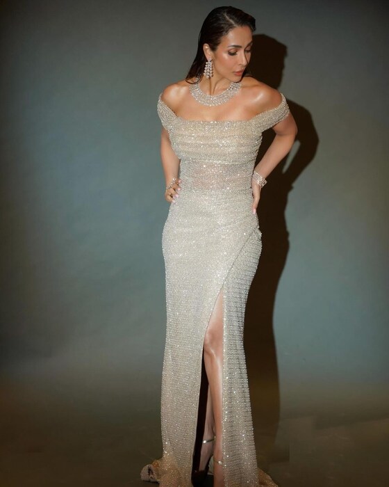 Bollywood 50 years actress malaika arora shares most stunning photos ...