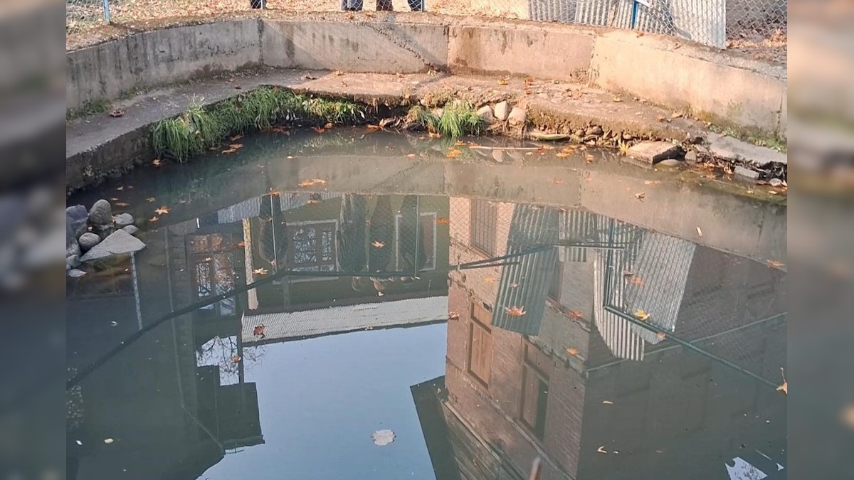 Pulwama Water level in Monganag dropped significantly fish are dying ...