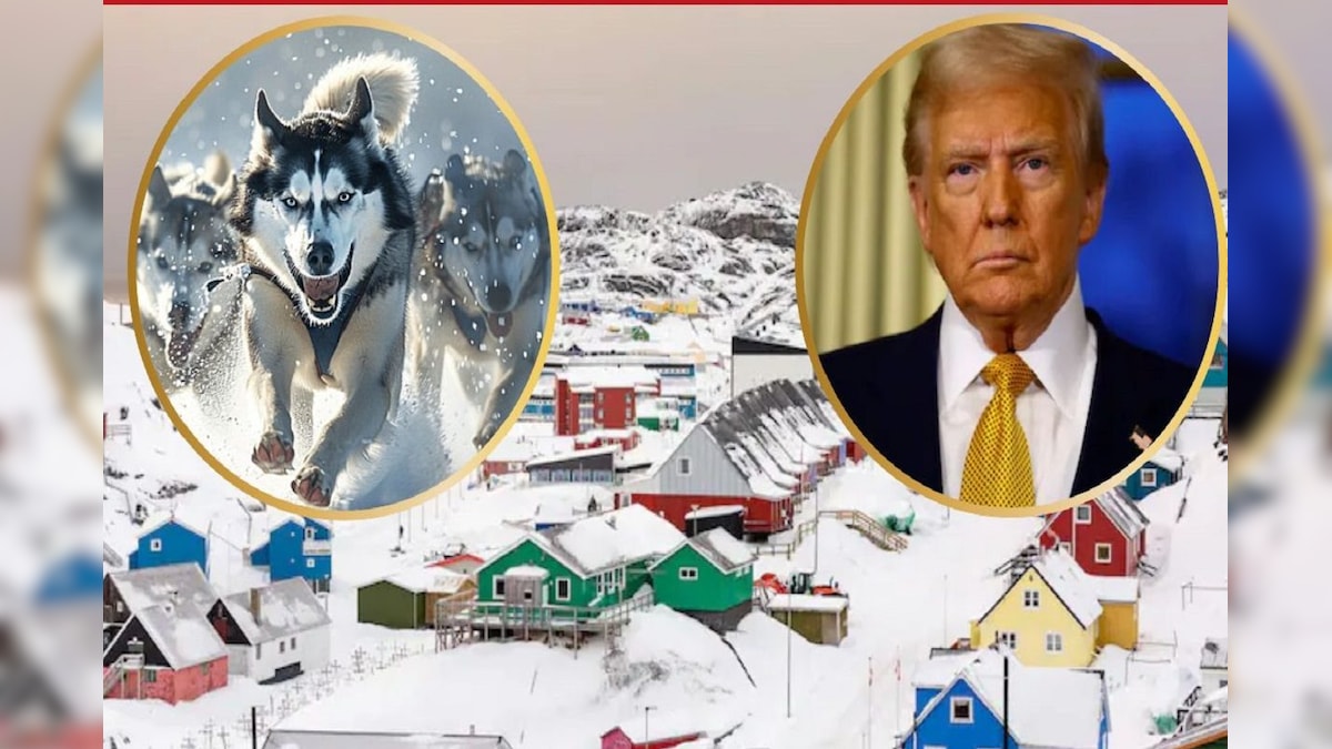 Donald trump wants to takeover greenland denmark enhances greenland ...
