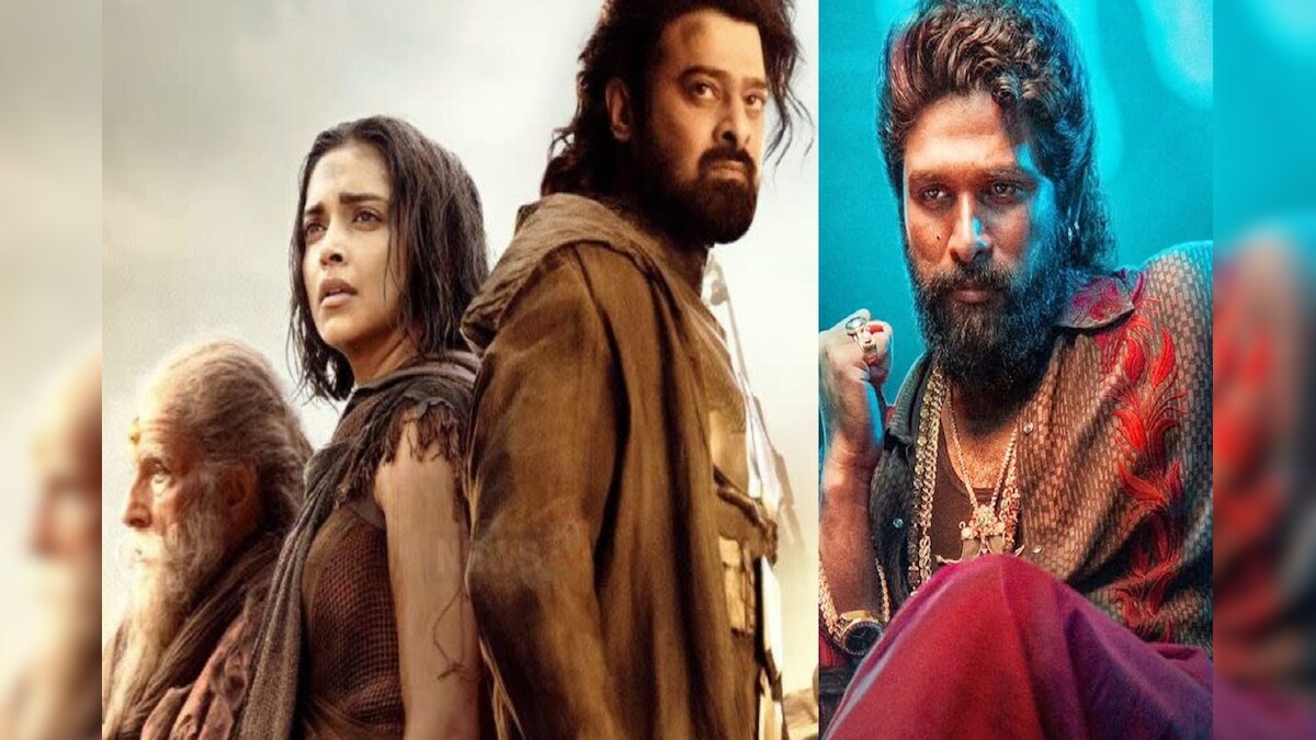 Bollywood rajkummar rao stree 2 is the most profitable films of 2024 mud - نہ 'پشپا 2' اور نہ ہی ...