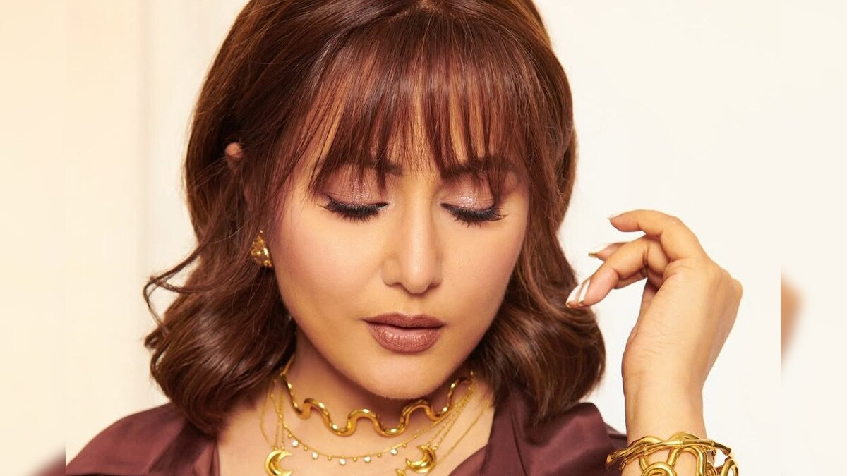 Hina khan spilled beans about her cancer battle on farah khan show says ignored symptoms ...