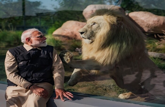 Pm narendra modi gujarat visit world largest wildlife conservation ...
