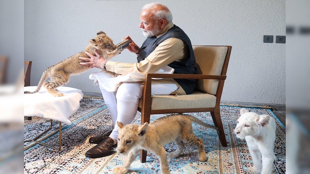 Pm narendra modi gujarat visit world largest wildlife conservation ...