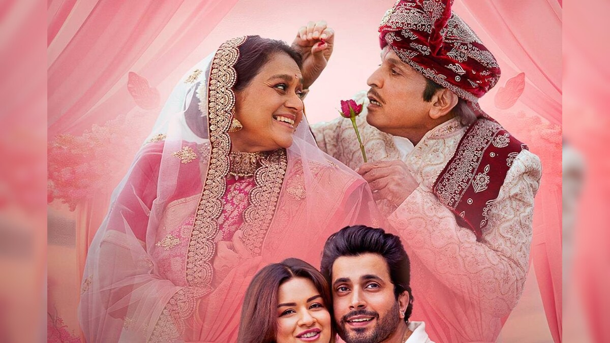 These five films on zee 5 luv ki arrange marriage you can watch with ...
