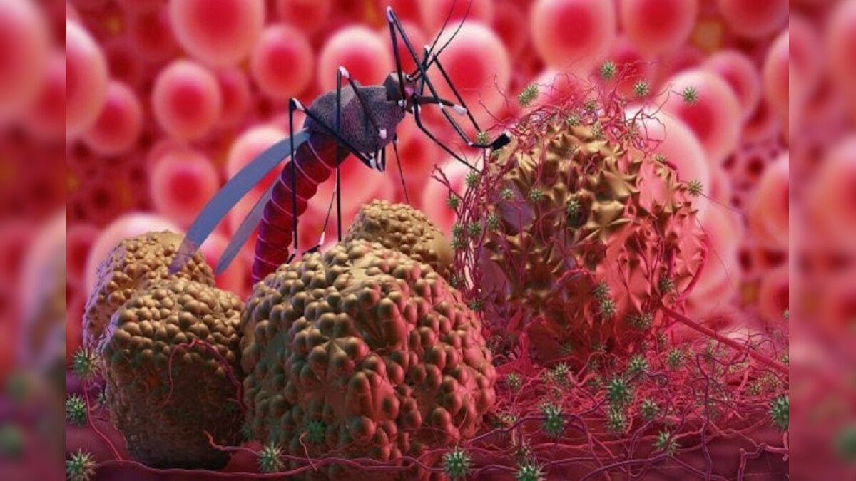 கொரோனா தொற்று மட்டுமல்ல... இந்நேரத்தில் மலேரியா தொற்றும் வராமல் ...